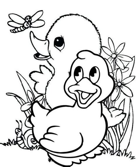 Cute Duck Coloring Pages
