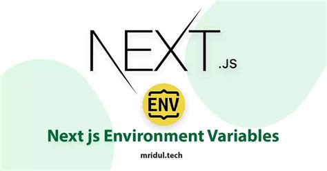 how to use next js environment variables mridul tech