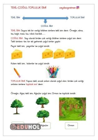 Tekil İsim Çoğul İsim Topluluk Eduhol Etkinlik İndir Oyun Oyna