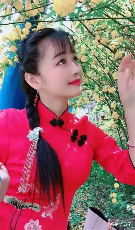 鹧鸪天 鸟语笑唱晨花香 知乎