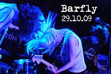 Japanese Voyeurs Live Photos