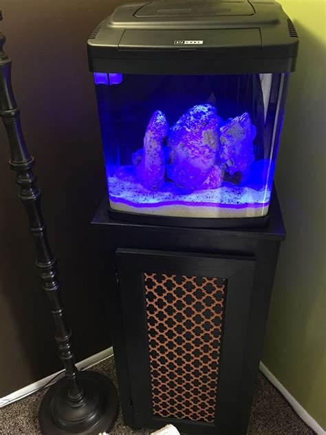 Biocube 14 DIY Stand System Setups Nano Reef Community