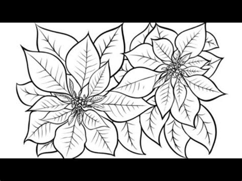 Como Bordar Una Flor Noche Buena Puntada Para Flor De Pascua Super
