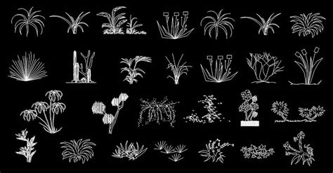 Plants And Flowers Elevation Dwg Elevation For Autocad