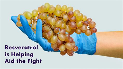 Resveratrol And Cancer Benefits Of Resveratrol