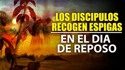 Los Discípulos Recogen Espigas en el día de Reposo Lucas 6 1 5