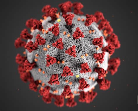 Was wir über das Coronavirus wissen und was nicht GMX CH