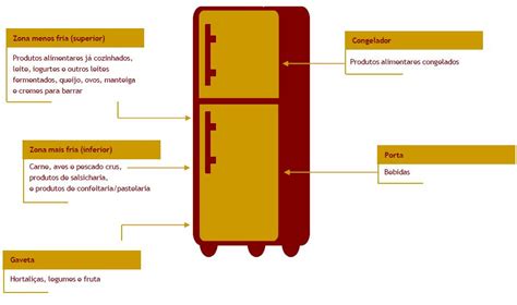 ePortefolio Sara Como organizar o congelador e o frigorífico