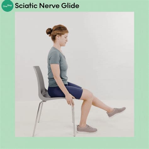 Exercises For Low Back Pain And Sciatica Onestep Digital Physical