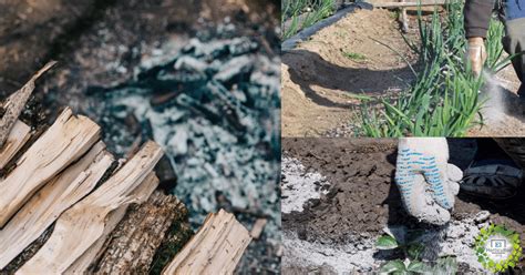 C Mo Aprovechar Las Cenizas De Madera En La Huerta El Horticultor