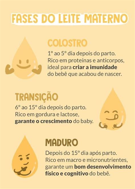 Fases Do Leite Materno Em Dicas De Amamenta O Dicas De Beb