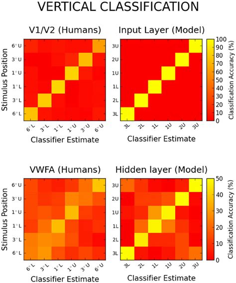 Confusion Matrices For The Vertical Classification Of Human Fmri