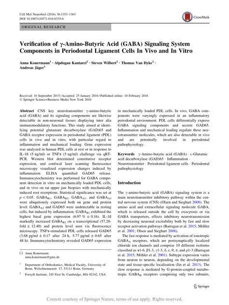Verification of γ Amino Butyric Acid GABA Signaling System Components