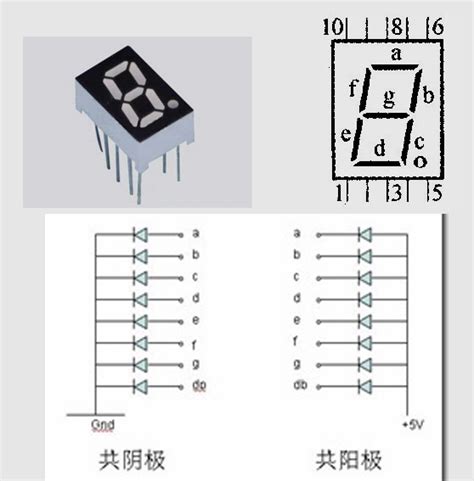 稳压二极管 led二极管与数码管的共阴极及共阳极接法