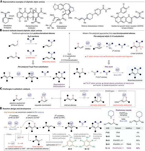 Asymmetric Intermolecular Allylic CH Amination Of Alkenes With