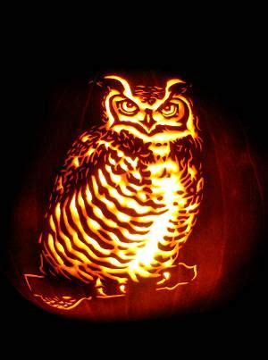 Owl In Tree Pumpkin Stencil