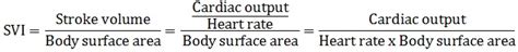 Calculate Stroke Volume Index How To Calculate Stroke Volume By Echo