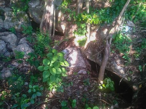 Comunidades mayas del sur de Yucatán piden la protección de los Xúuch