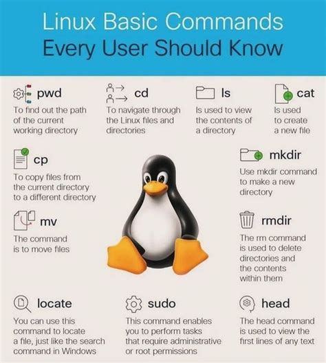 Learn The 50 Essential Linux Commands You Need To Know For Everyday Use