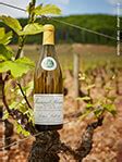 Louis Latour Meursault Er Cru Blagny Ch Teau De Blagny