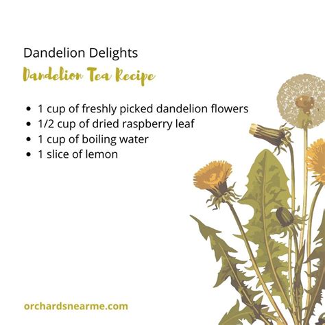 Best Dandelion Tea Recipe Easy Homemade Guide 2023 AtOnce