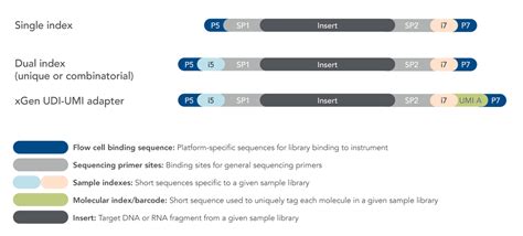 what are ngs adapters different structures and features