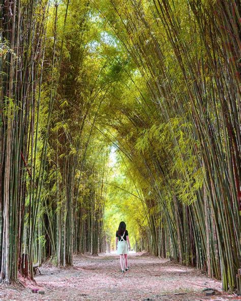6 Wisata Surabaya Seperti Jepang Yang Sebaiknya Tak Dilewatkan