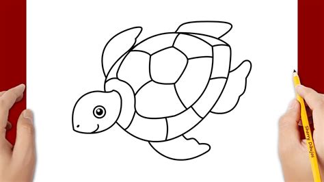 Cómo dibujar una tortuga marina YouTube
