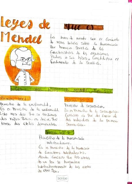 Leyes De Mendel Sonia Castro UDocz