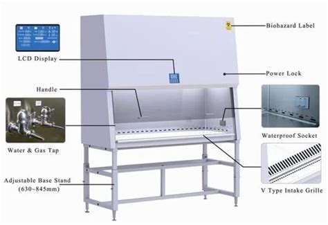 Biosafety Cabinet Labelled Diagram Resnooze