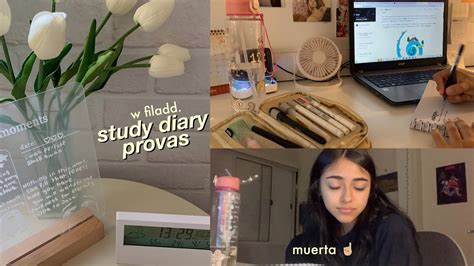 Study Diary Semana De Provas W Filadd Youtube