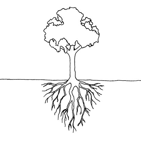 Tree Roots Drawing At PaintingValley Explore Collection Of Tree