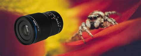 Venus Optics Laowa 90 Mm F 2 8 Ultra Macro APO Lens Fdirect Eu B2B Only