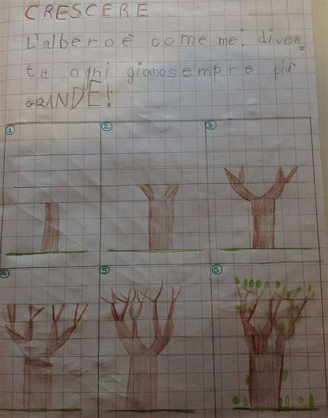 Un percorso di Attività Alternativa alla religione cattolica Classe