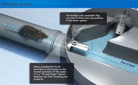 Drainage Rat Flap Installation Company In Dublin Cleaning Pipe Repair