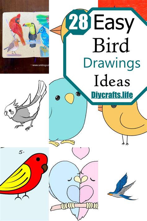 Easy Bird Drawings Ideas Step By Step Guide Diy Crafts