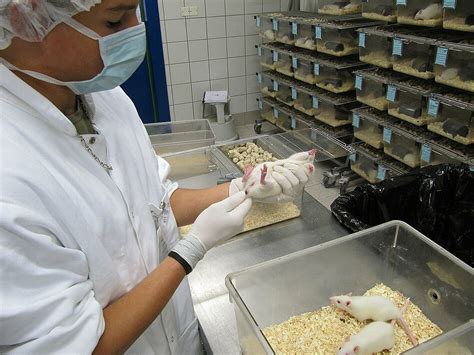 Seconde Professionnelle Technicien d Expérimentation Animale Legta de