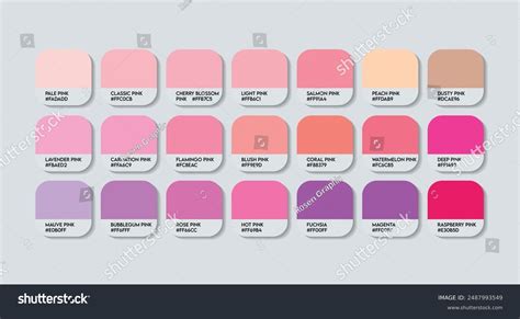 pink color guide palette color names stock vector royalty free 2487993549 shutterstock