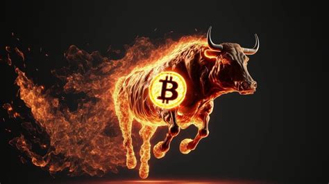 3 Tips For The Next Bitcoin Bull Run