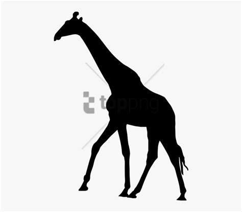 Detail Giraffe Silhouette Png Koleksi Nomer 10