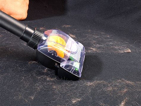 Brosse D Aspirateur Pour Poils De Chiens Et Animaux Universel