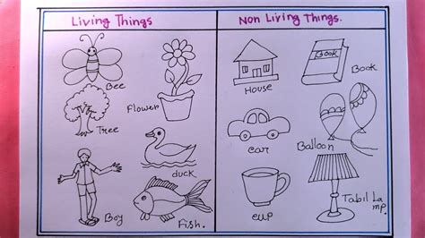 How To Draw Living Things And Non Living Things YouTube