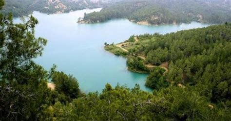 Akdeniz Bitki Örtüsü ve Özellikleri