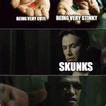 Did You Just Take Both Pills Meme Generator Imgflip