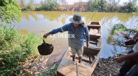 Técnicos de la Gobernación cruceña investigan mortandad de peces en el