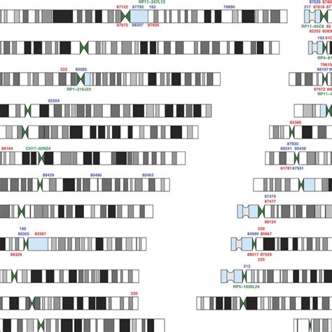Admixture Mapping Of The Human Genome S Missing Pieces A Chromosomes