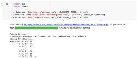 Update Cv2 Imread Patch With Flags Argument By Glenn Jocher Pull