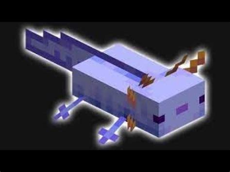 Como gerar o raríssimo Axolote Azul comandos Minecraft Java