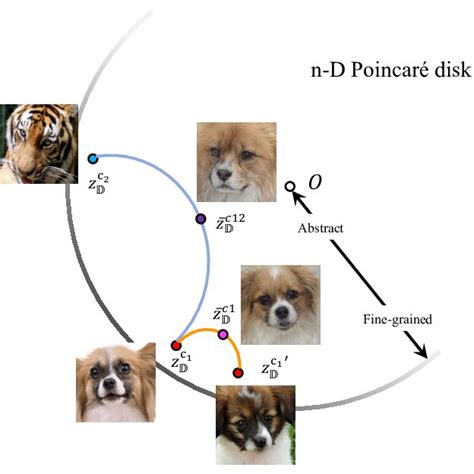illustration of hierarchical attribute editing in hyperbolic space download scientific diagram