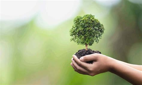 Tìm hiểu về ảnh thiên nhiên là gì và tầm quan trọng của nó